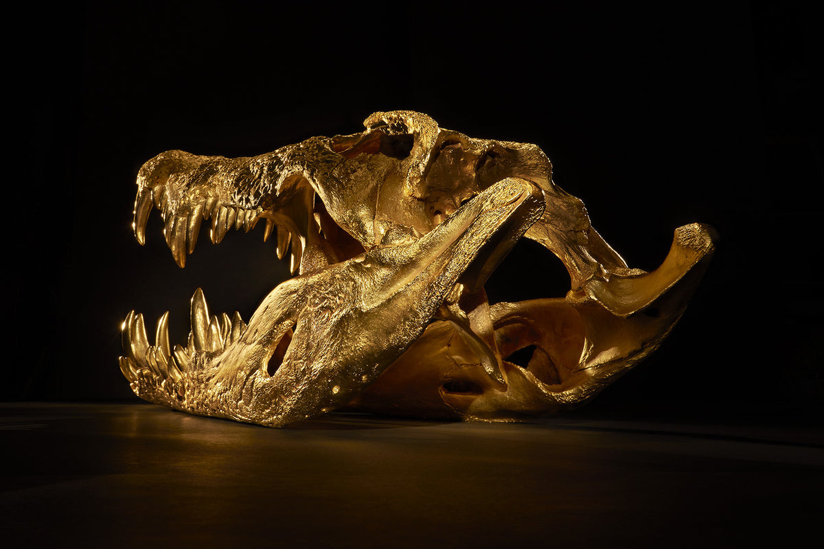 Crocodile Scull Sculpture: Give Back To The World Wildlife Fund ...